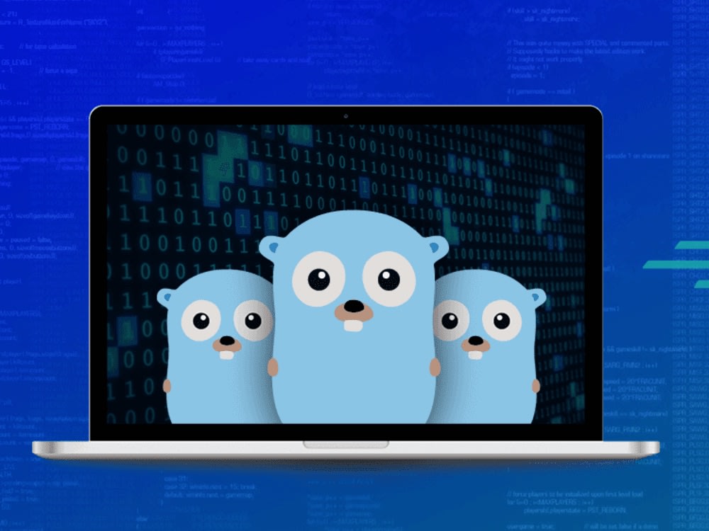 A Golang web app, APIs, Backend, Server full stack developer | Upwork