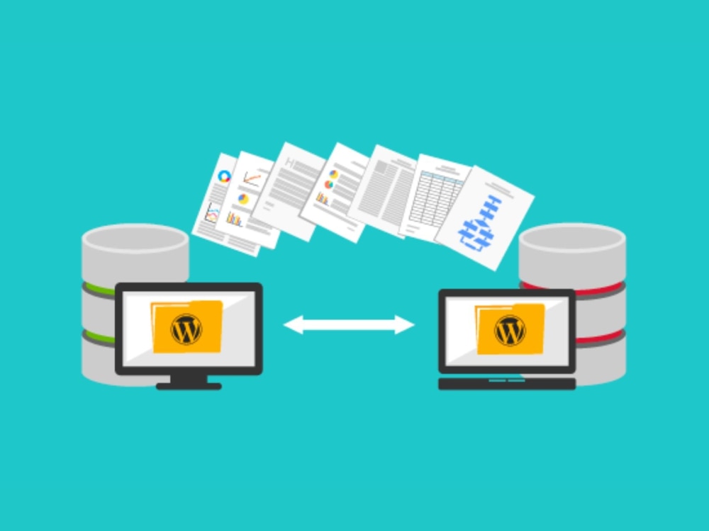 Move, migration, transfer or backup on your wordpress site | Upwork