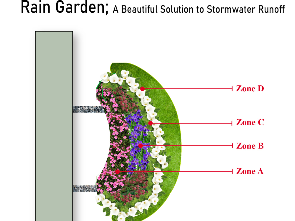 A rain garden design; eco-friendly approach that manage rain water | Upwork