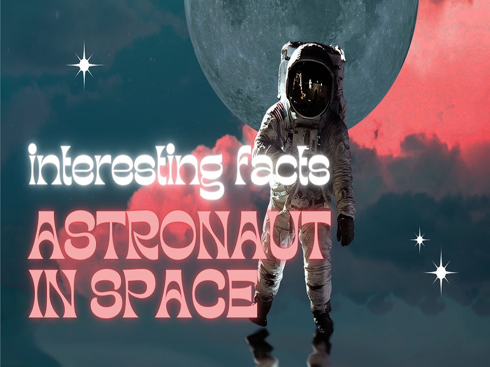 Excellent, attractive and eye-catchy youtube thumbnail design | Upwork