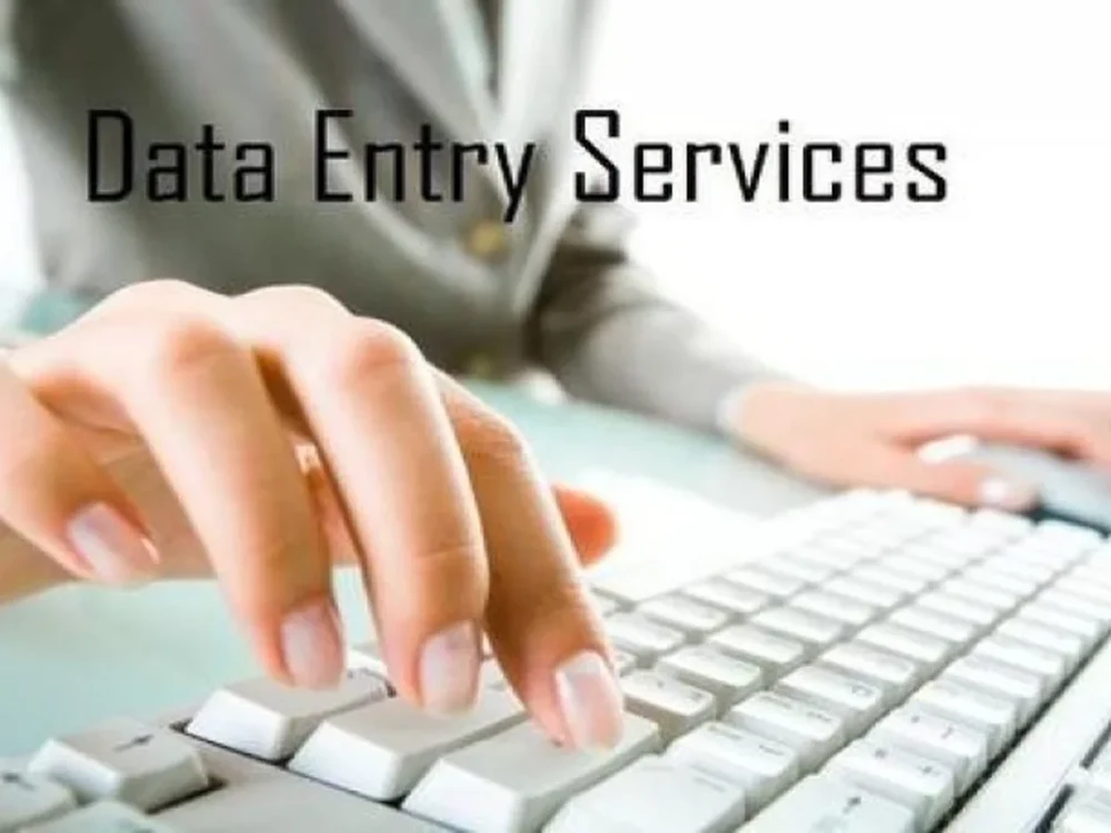 Accurate data entry, typing work, web researcher, and all type of data ...