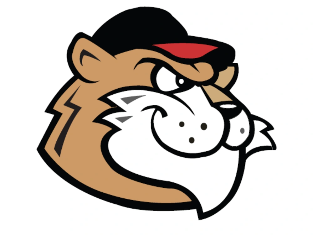 Vector formats of your graphics, logos and drawings | Adobe Illustrator ...