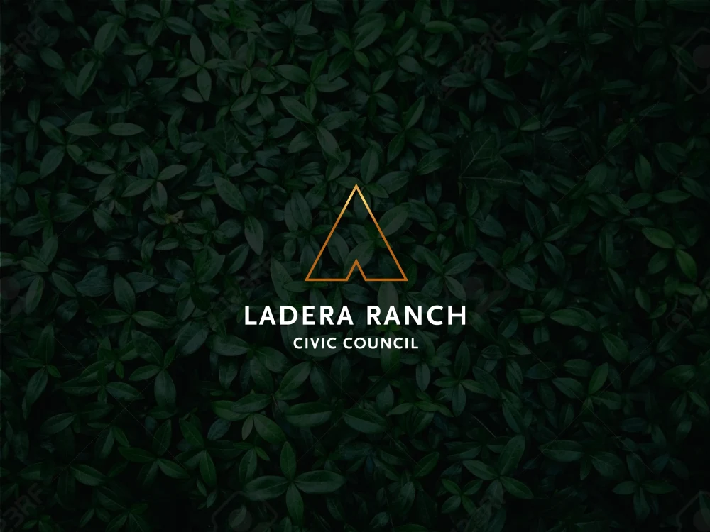 A premium bespoke modern business logo design or redesign | Upwork