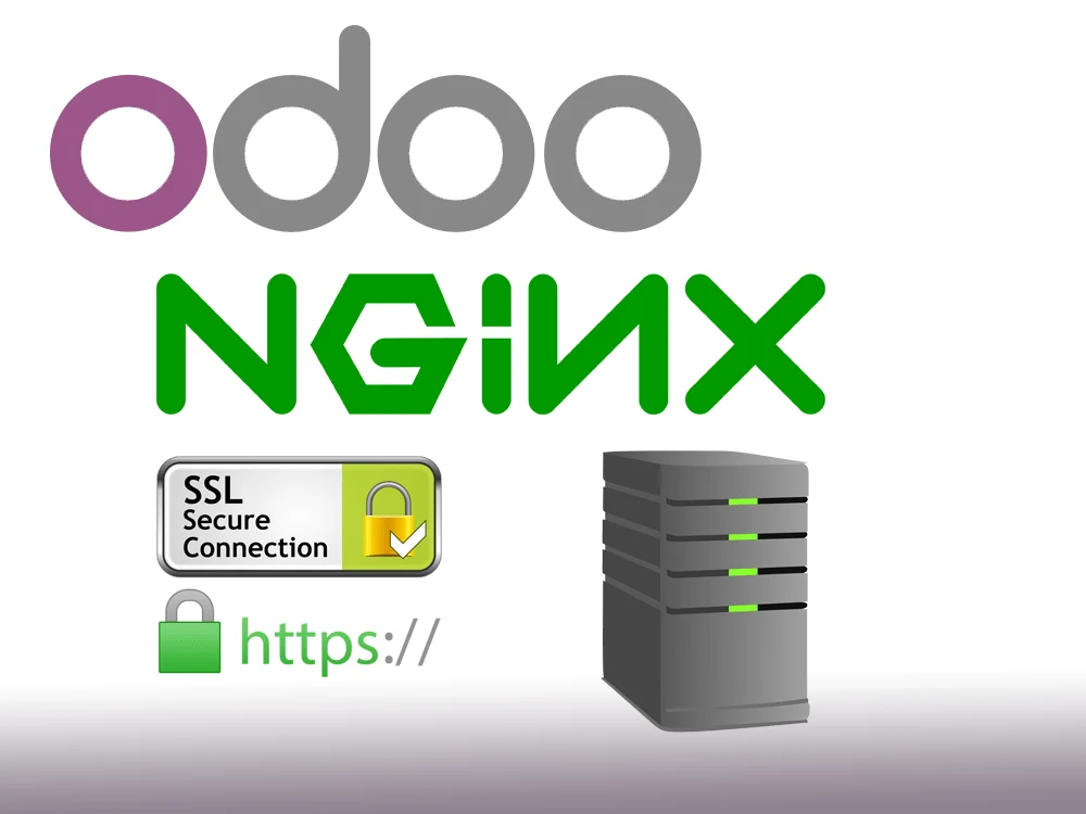 Odoo installed with Nginx web service and ssl certificate (optional) | Upwork