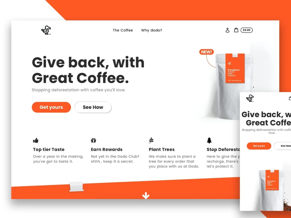 A creative and unique website design | Upwork