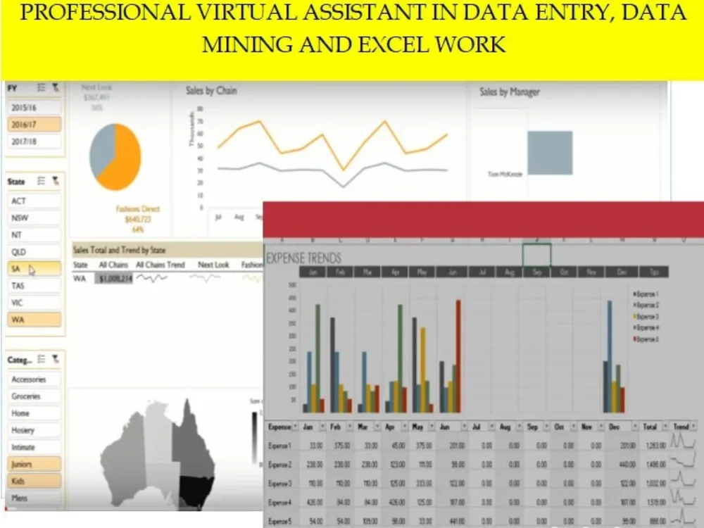 Efficient Virtual Assistant: Excel Data Entry, Web Research, and ...
