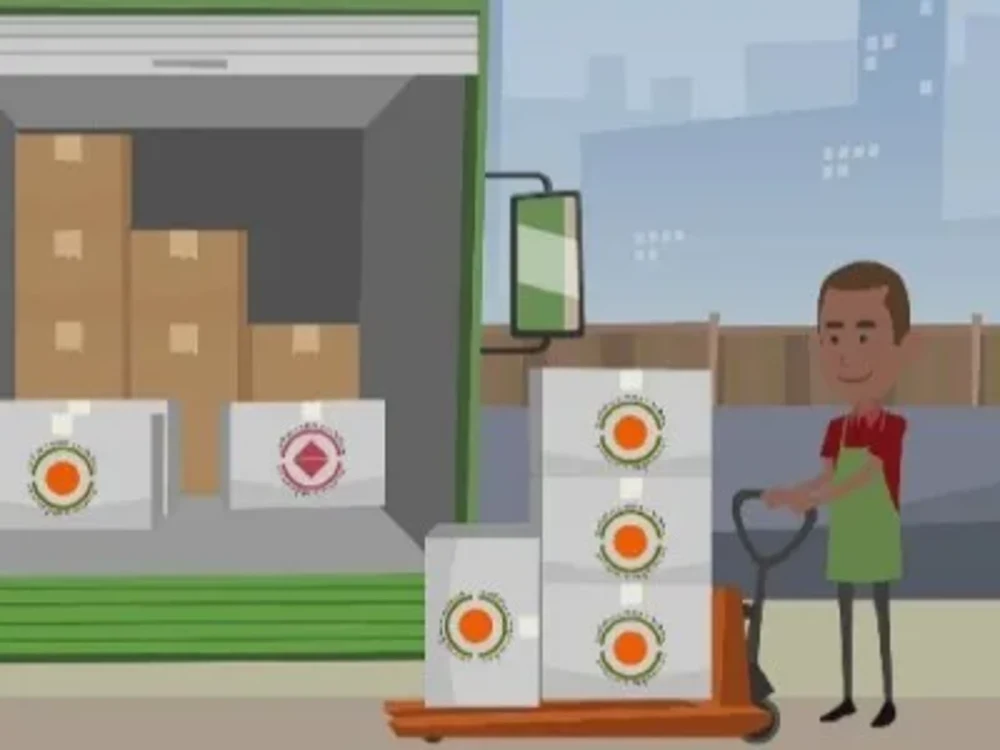 An Outstanding 2D/Whiteboard Animation | Upwork