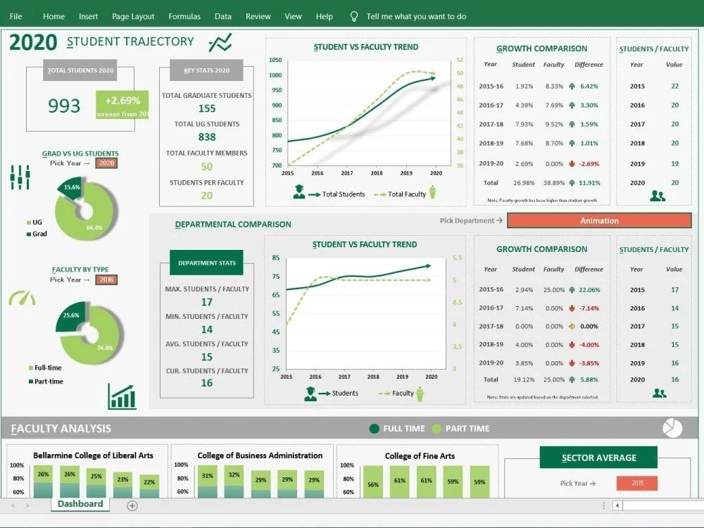 Data Visualization Excel Dash Boards Infographics | Upwork
