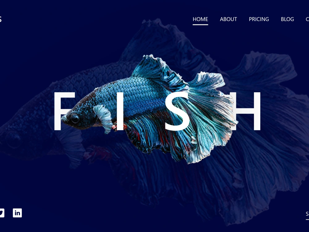 Modern Unique Website design | Upwork