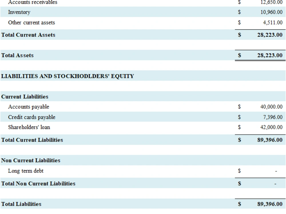 Financial statements (balance sheet, profit and loss, cash flow ...
