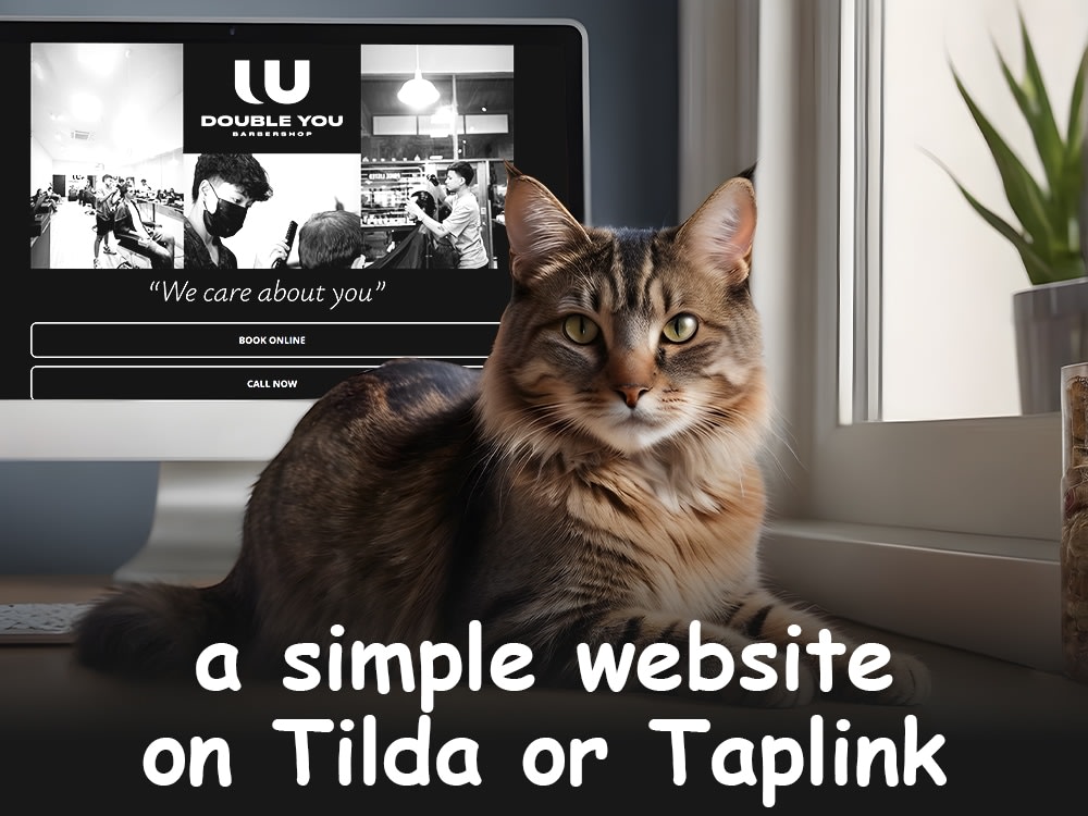 Creating a landing page on Tilda or Taplink. | Upwork
