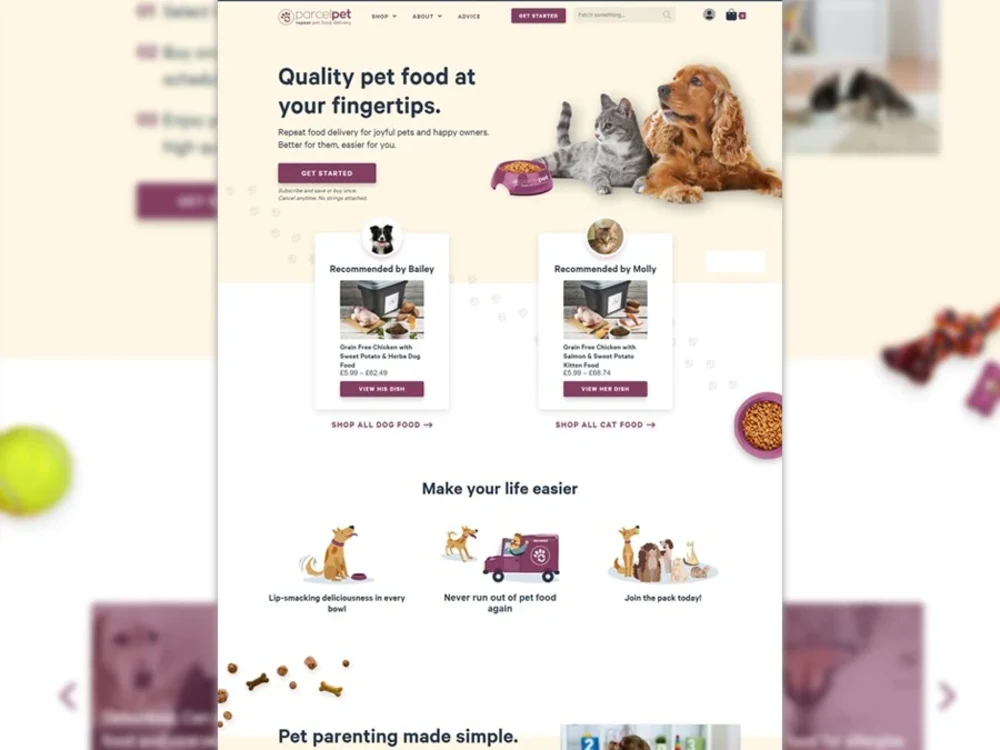 Pet animal website design and development in WordPress | Upwork