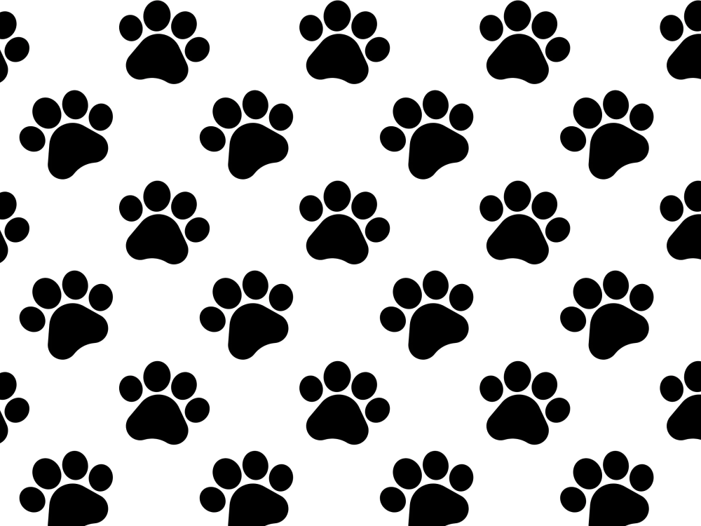 Similar pattern design using any graphics or using fruits/vegetables ...