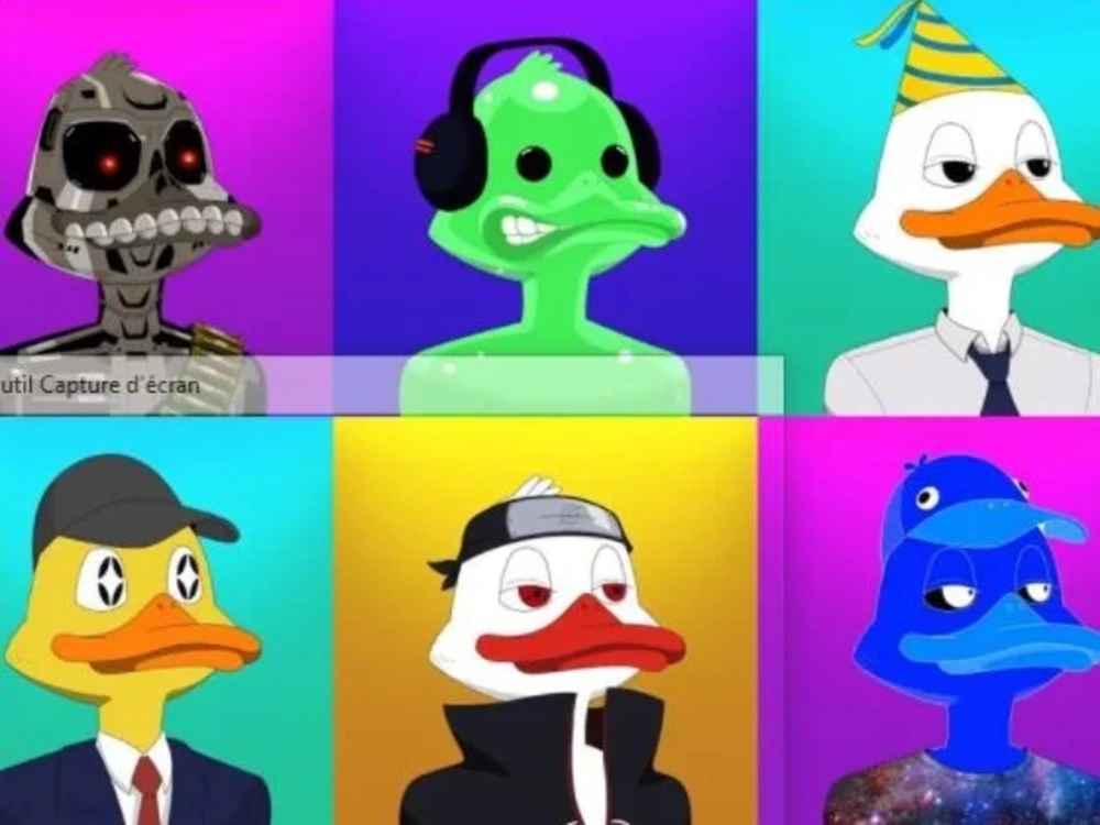 An Amazing NFT collection | Upwork