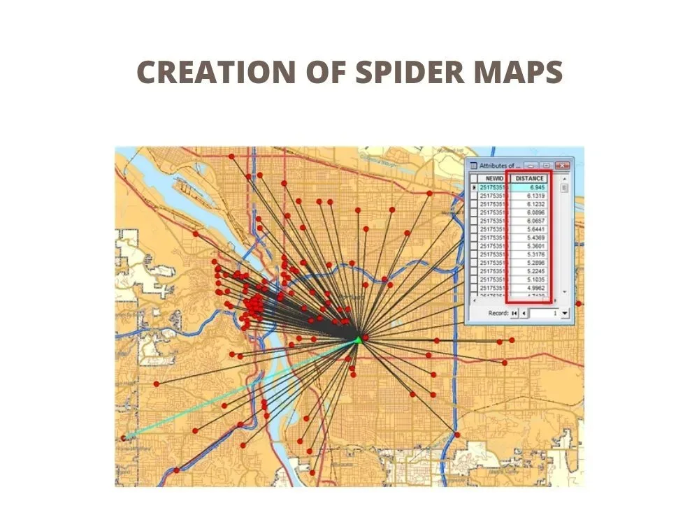 A fantastic honeycomb like hexagonal maps and interactive spider maps | Upwork