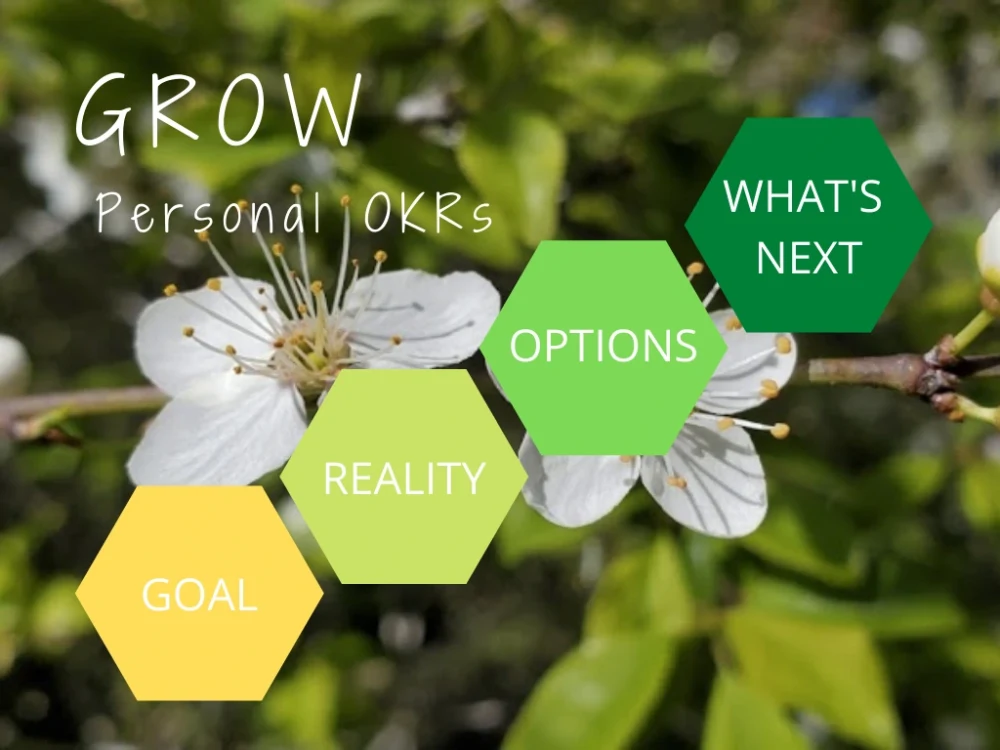 Career GROW and personal OKRs | Upwork Career GROW and personal OKRs | Upwork
