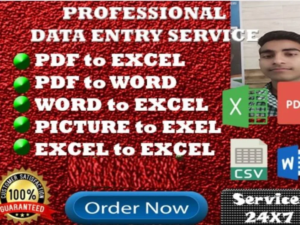 A professional data entry service. | Upwork