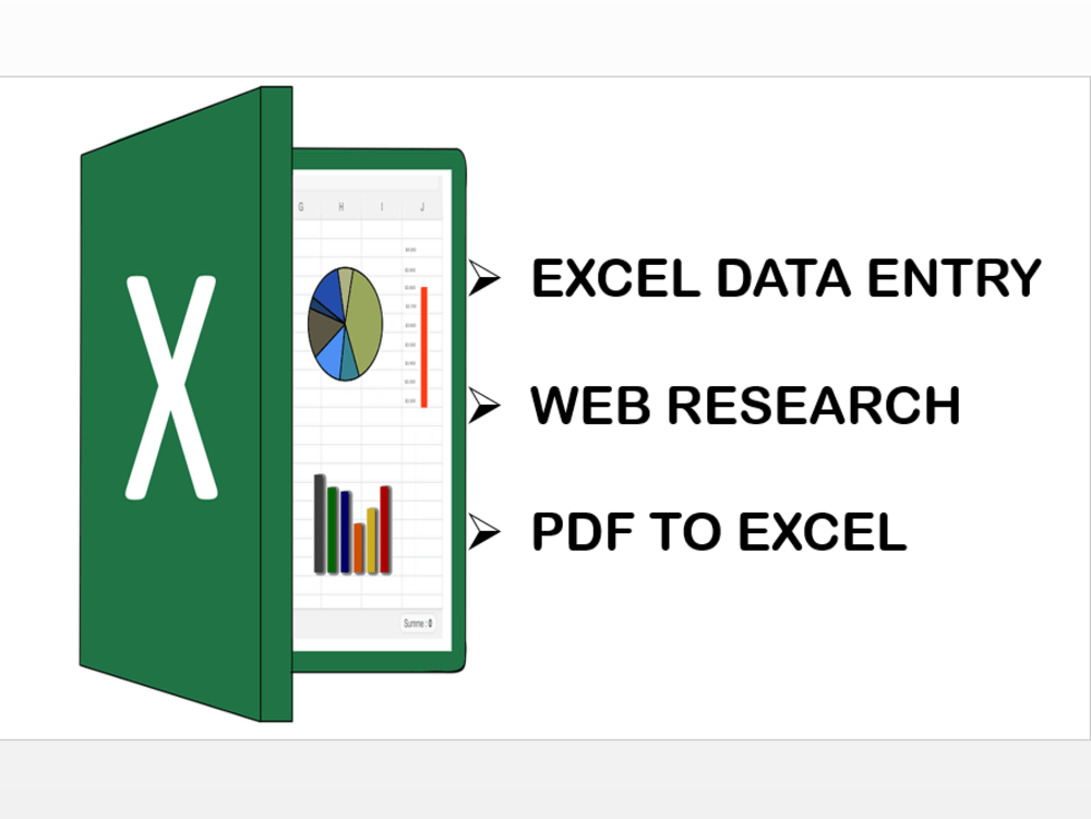 Fast excel data entry and web research | Upwork
