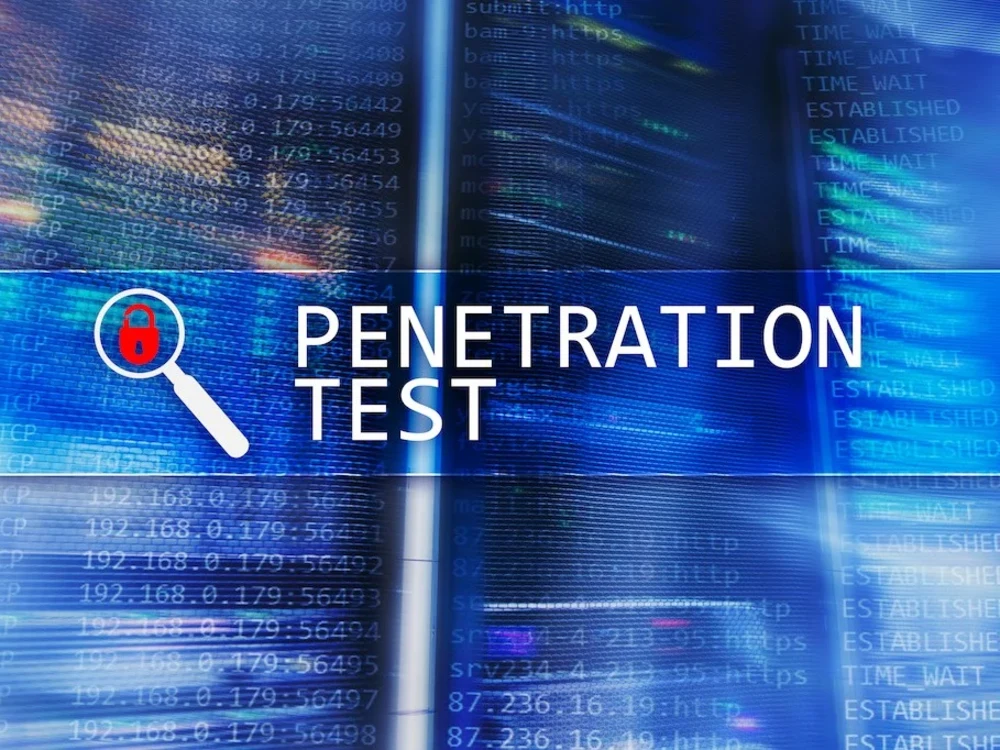 A Professional Network Pentesting | Upwork