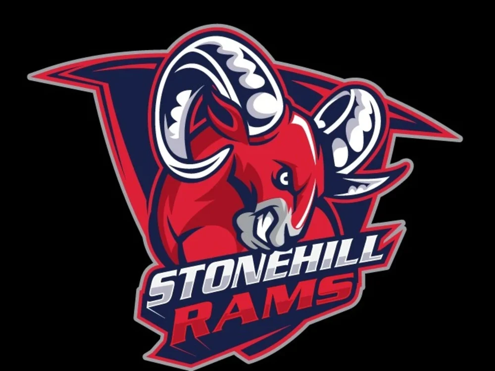 The best quality logo illustration and graphics design | Upwork