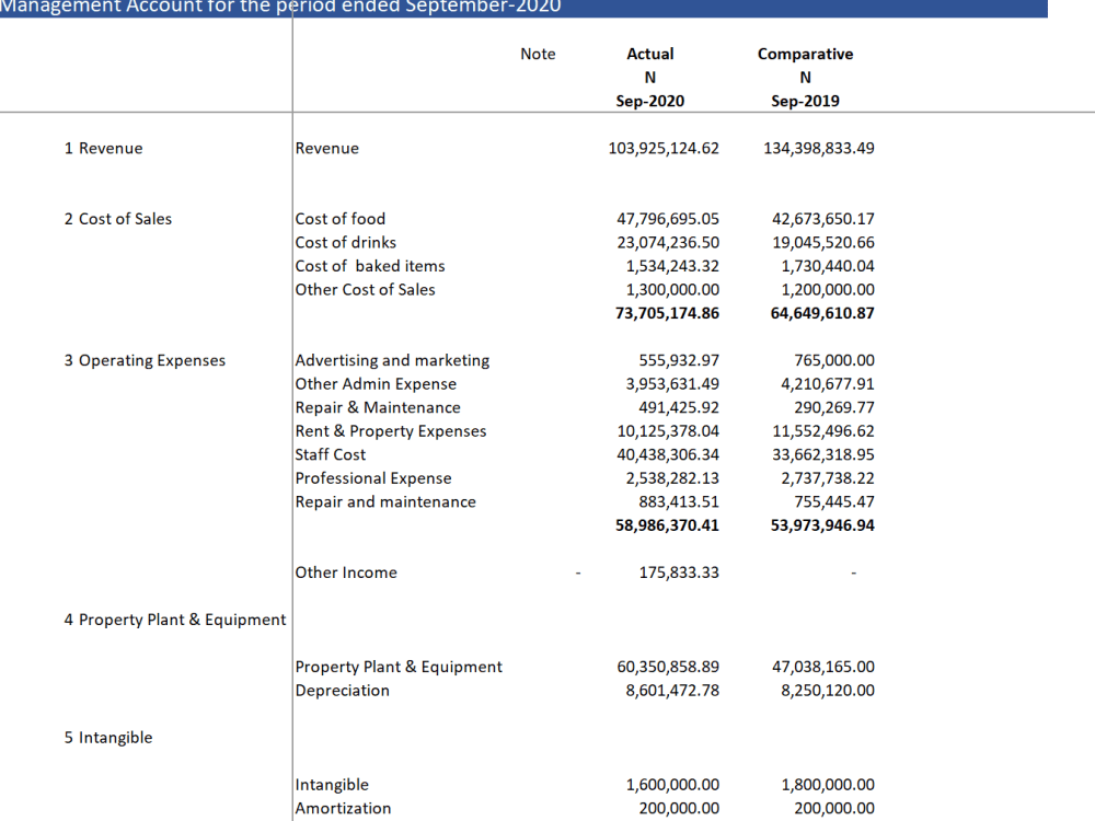 A dynamic monthly management account | Upwork