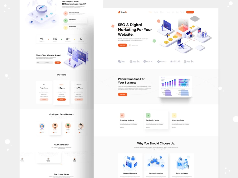 An outstanding website design for your brand! | Upwork