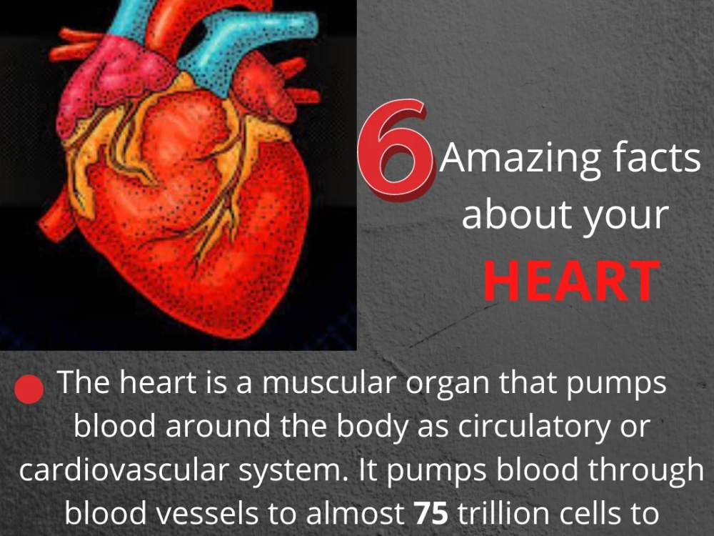 A creative health & medicine infographics | Upwork