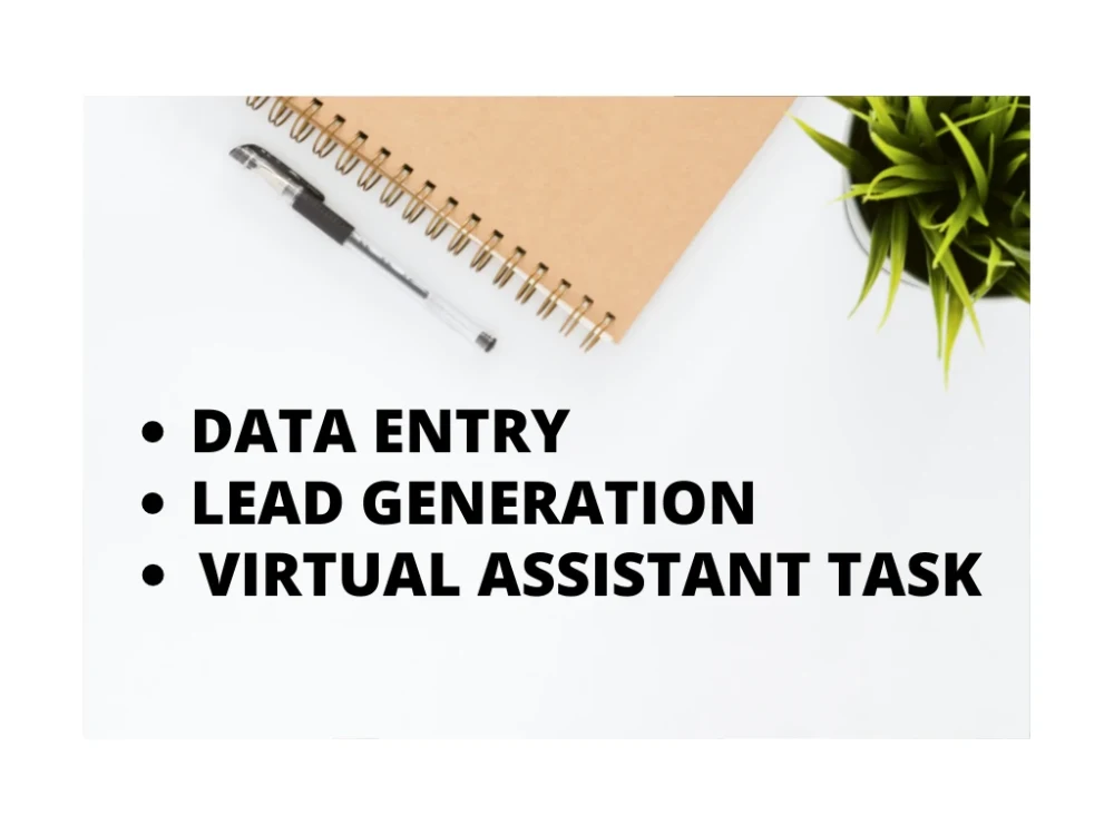 Fastest data entry work, accurate excel data entry. | Upwork