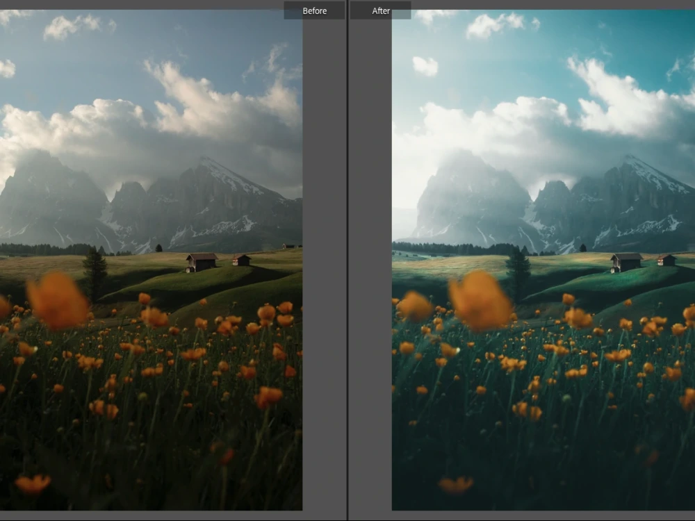 Professional color grading & enhancement for your photos | Upwork