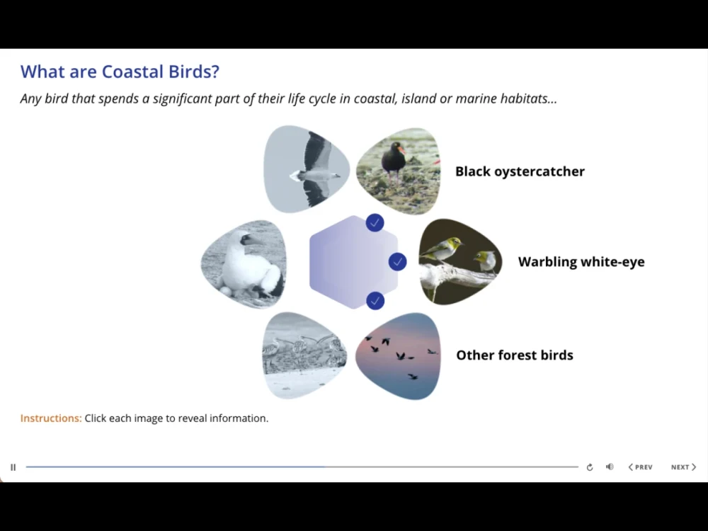 A scorm and xapi compliant eLearning course | Upwork