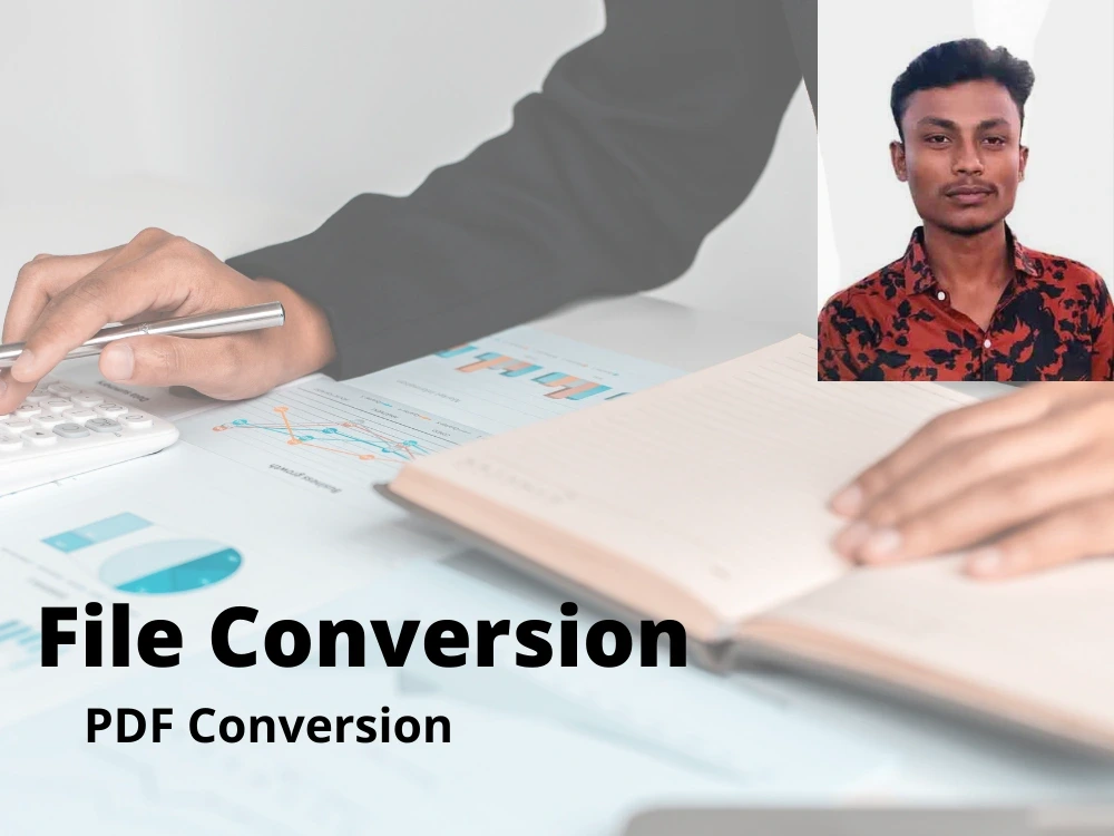 A File Conversion service with accurate data | Upwork