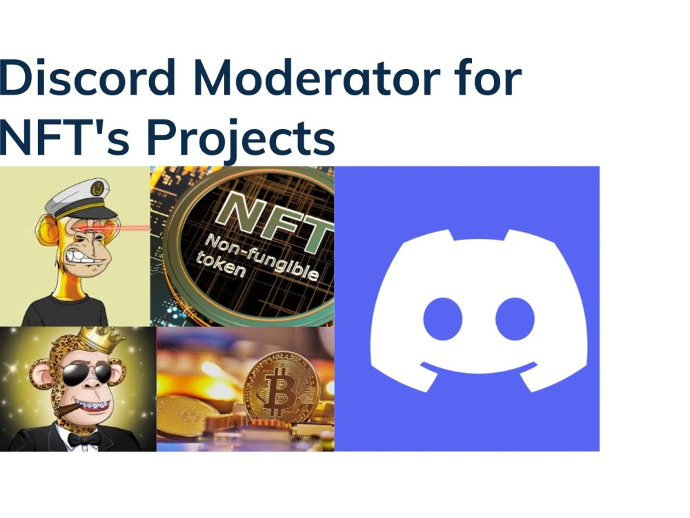 Discord server moderator, NFT project Promotion, WL account services ...