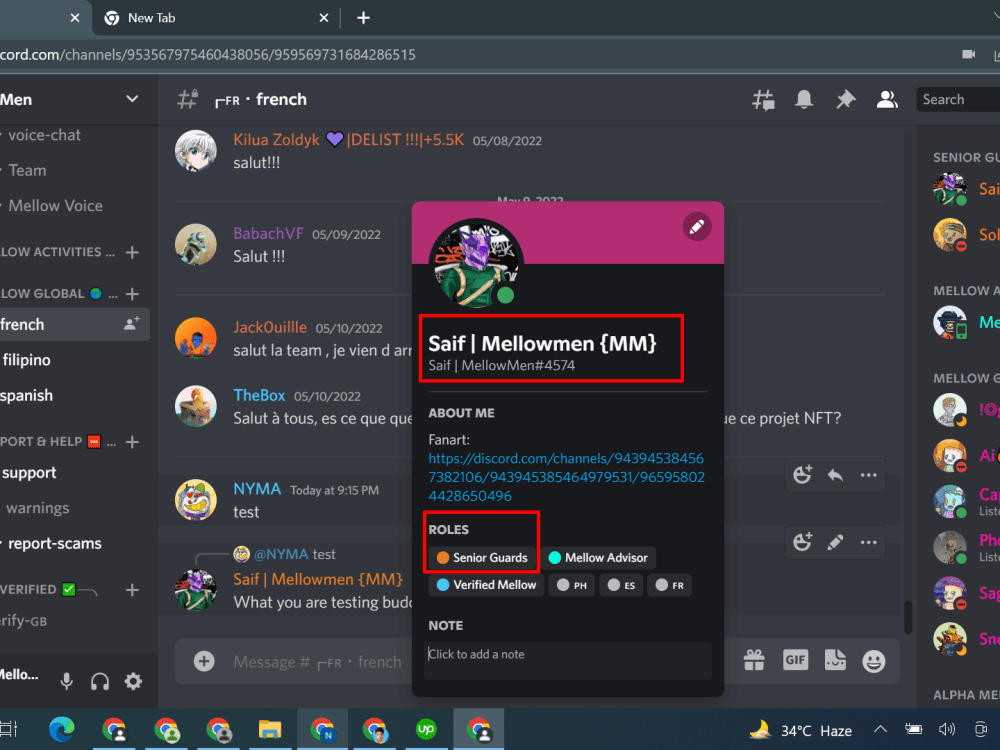 Discord server moderator, NFT project Promotion, WL account services ...