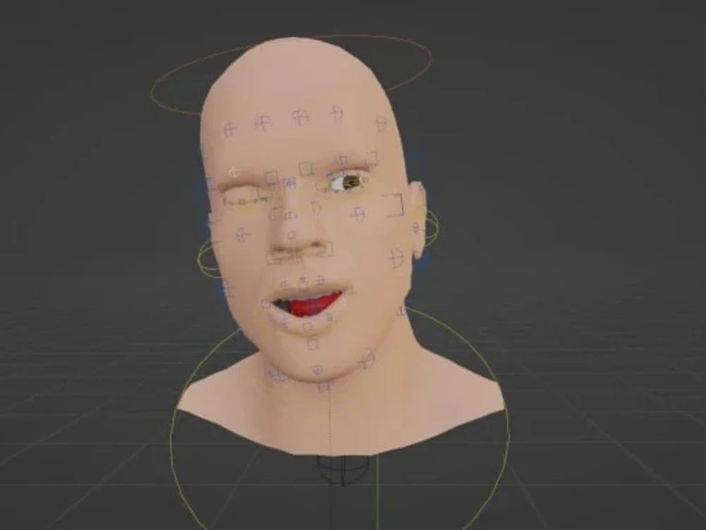 A Rigify rig for your humanoid character in Blender. | Upwork