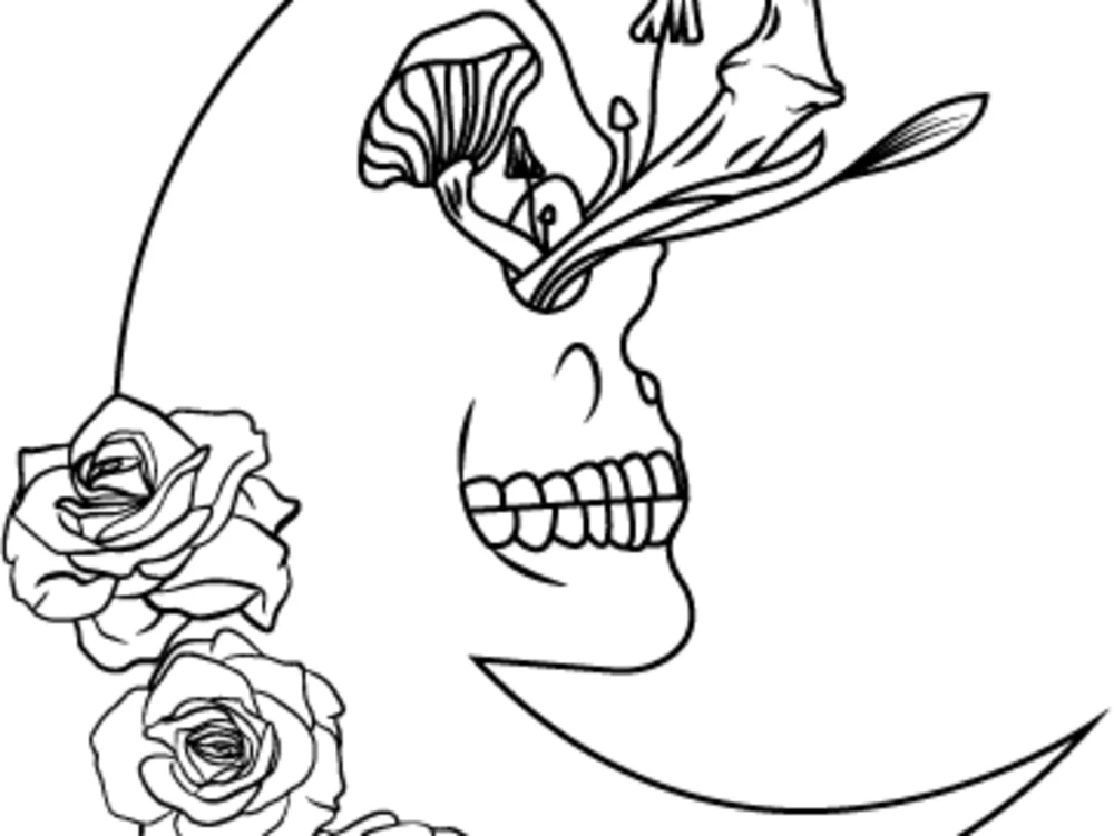 Unique line art, out line illustration | Upwork