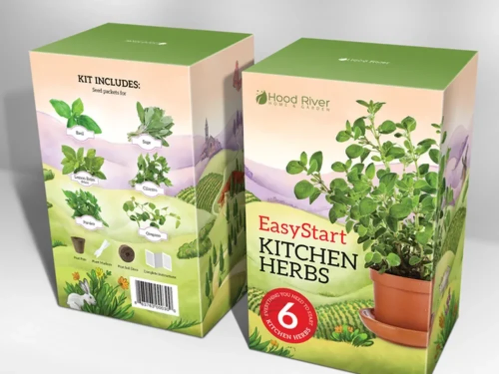 A modern and attractive product packaging/box design | Upwork