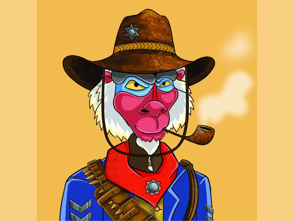 A professionally designed 10k PFP NFT project | Upwork