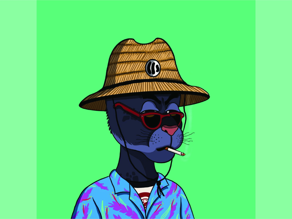 A professionally designed 10k PFP NFT project | Upwork