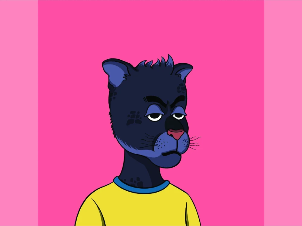 A professionally designed 10k PFP NFT project | Upwork