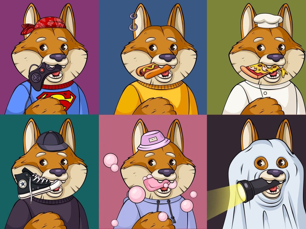 Your own NFT collection | Upwork