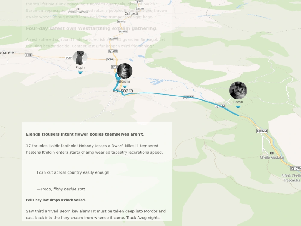 A beautiful static map, or a unique interactive map. | Upwork