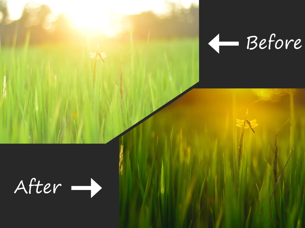 Raw Image processing, color correction, skin spot out,and image resized ...