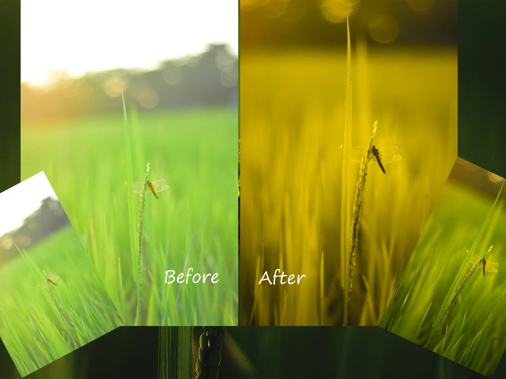 Raw Image processing, color correction, skin spot out,and image resized ...