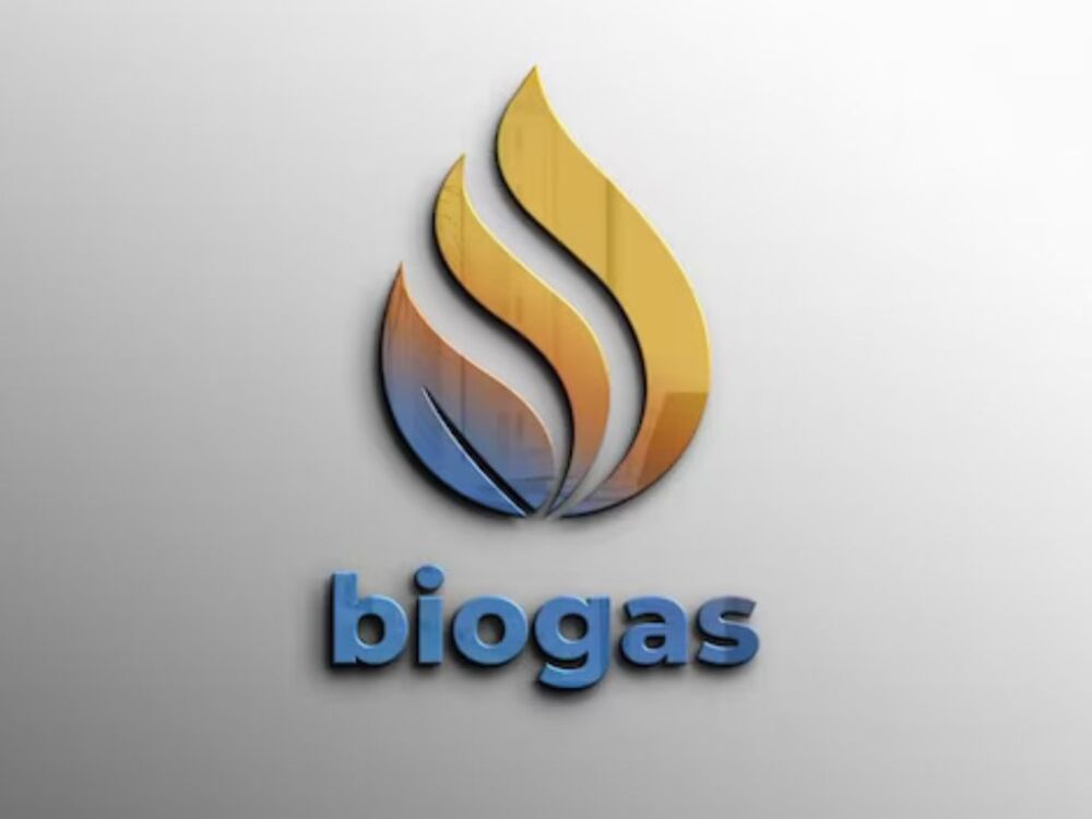 Design a professional, creative, distinctive and attractive logo | Upwork