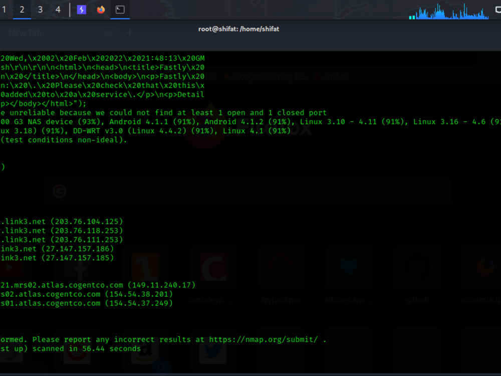 Professional Web Application Penetration Testing Following Owasp Top 10