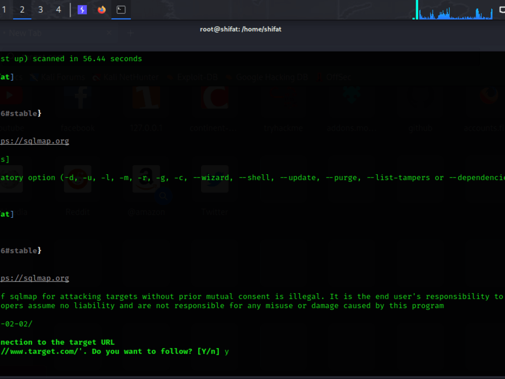 Professional Web Application Penetration Testing Following Owasp Top 10