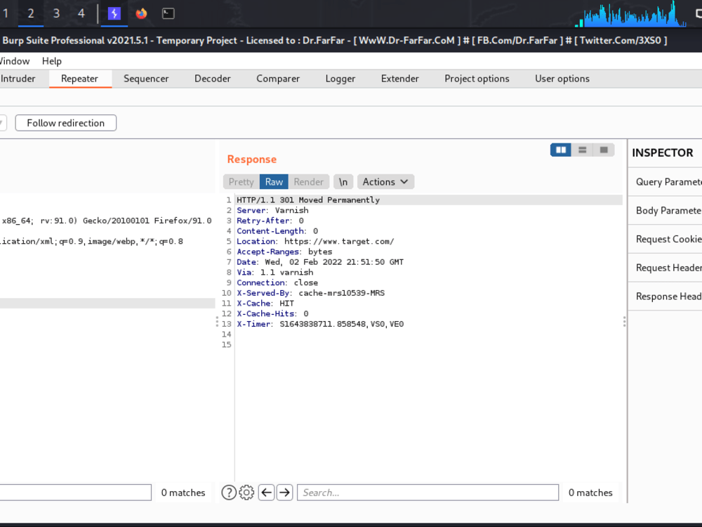 Professional Web Application Penetration Testing Following Owasp Top 10