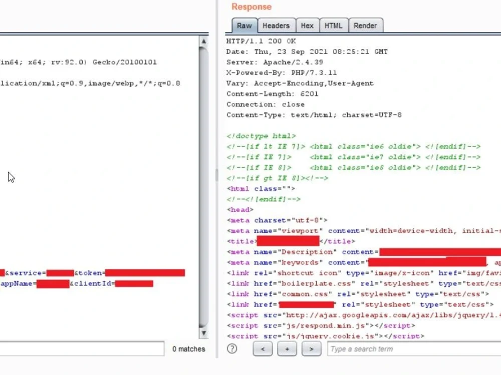 Professional Web Application Penetration Testing Following Owasp Top 10