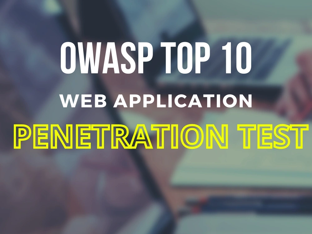 Professional Web Application Penetration Testing Following Owasp Top 10