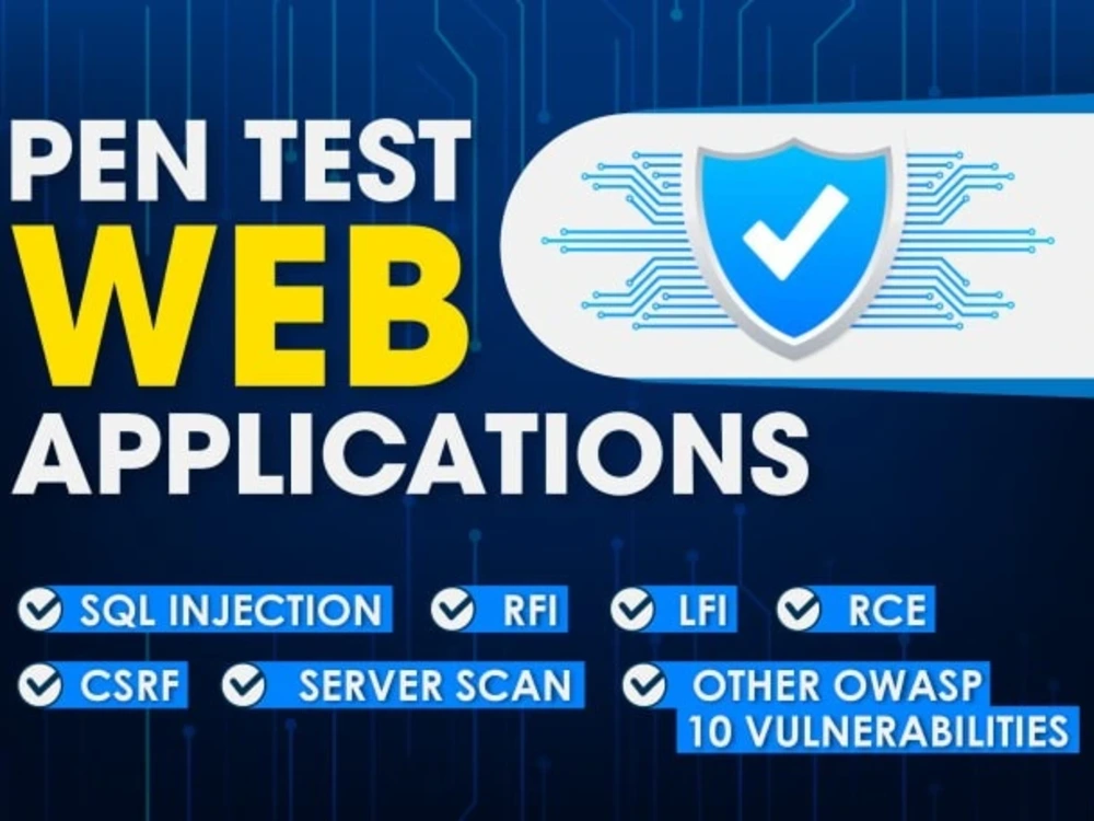 Professional Web Application Penetration Testing Following Owasp Top 10